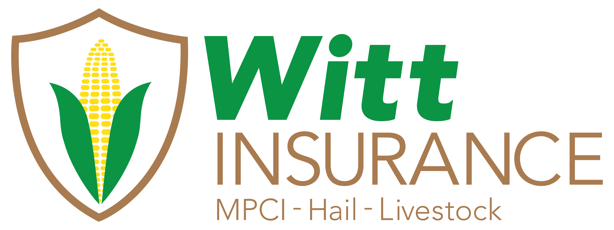 Witt Insurance Services - Home
